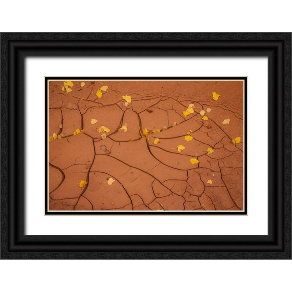 Illg, Cathy and Gordon 14x11 Black Ornate Wood Framed with Double ...