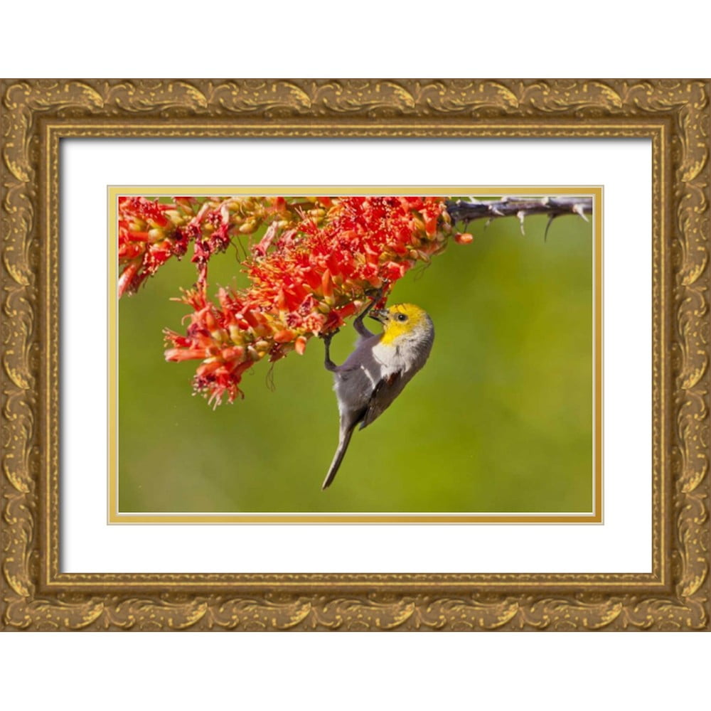 Illg, Cathy and Gordon 14x11 Gold Ornate Wood Framed with Double ...