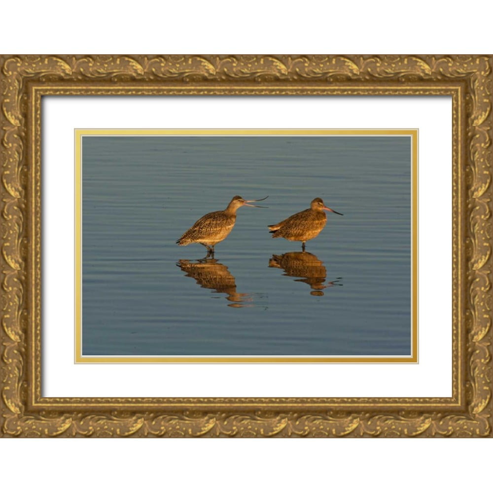 Illg, Cathy and Gordon 14x11 Gold Ornate Wood Framed with Double ...
