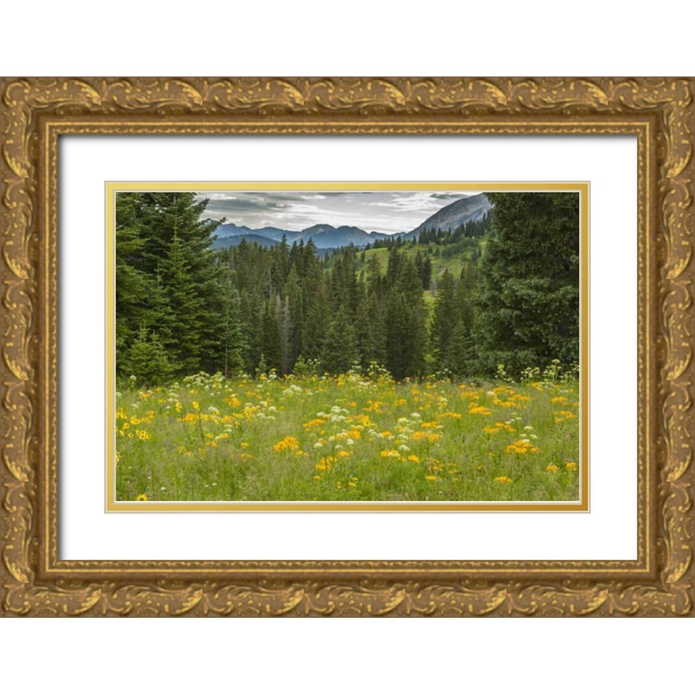 Illg, Cathy and Gordon 14x11 Gold Ornate Wood Framed with Double ...