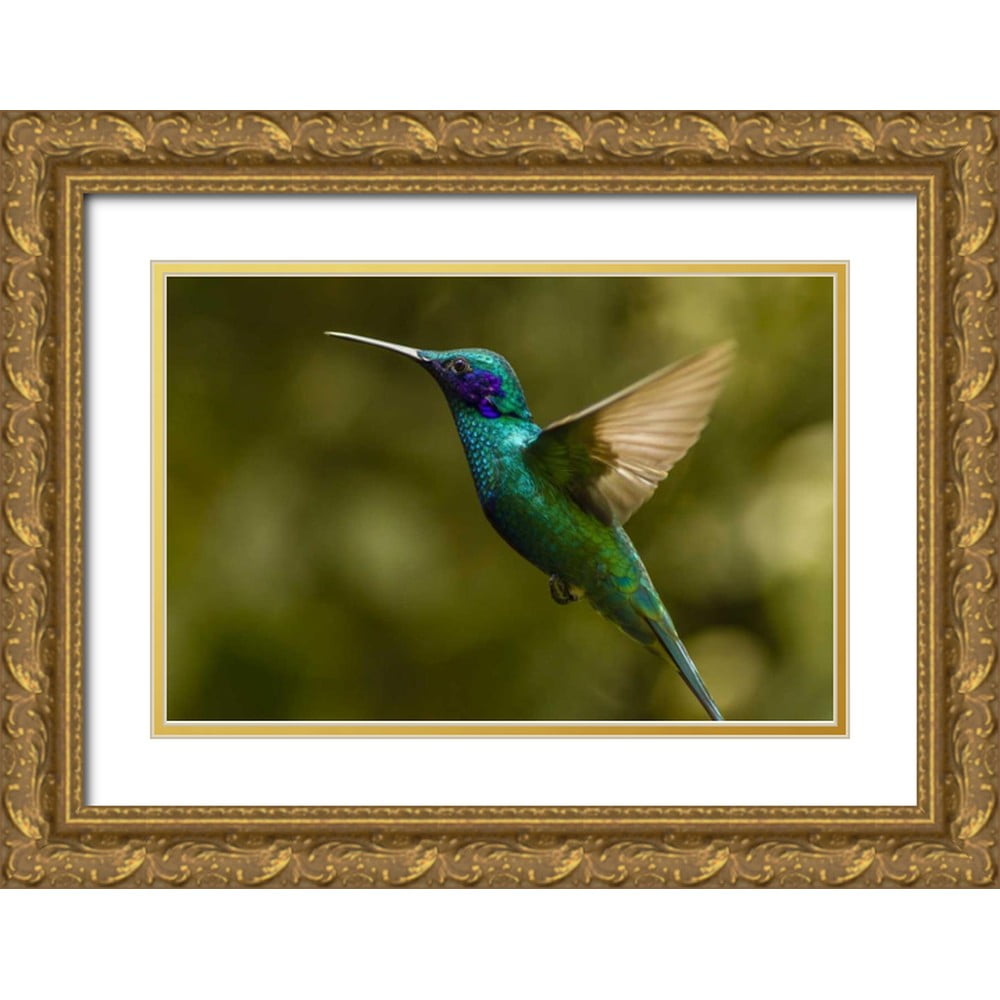 Illg, Cathy and Gordon 14x11 Gold Ornate Wood Framed with Double Matting Museum Art Print Titled ...