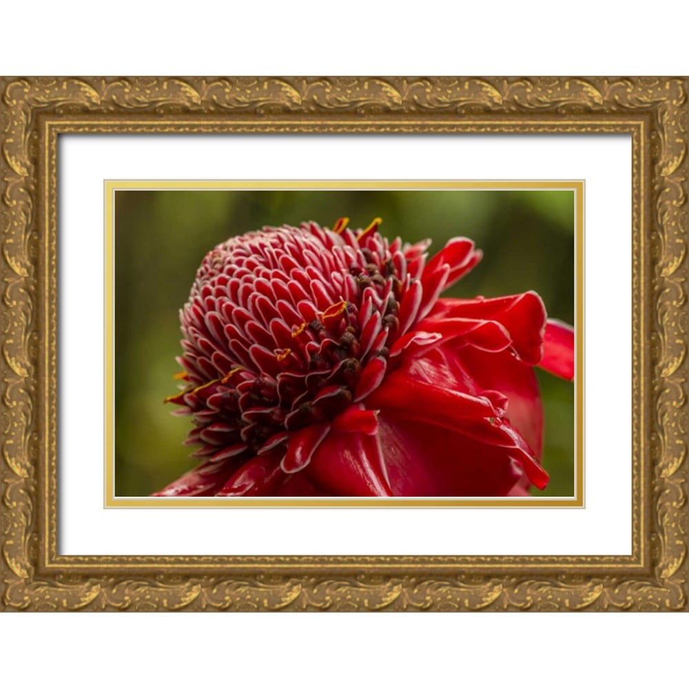 Illg, Cathy and Gordon 14x11 Gold Ornate Wood Framed with Double ...