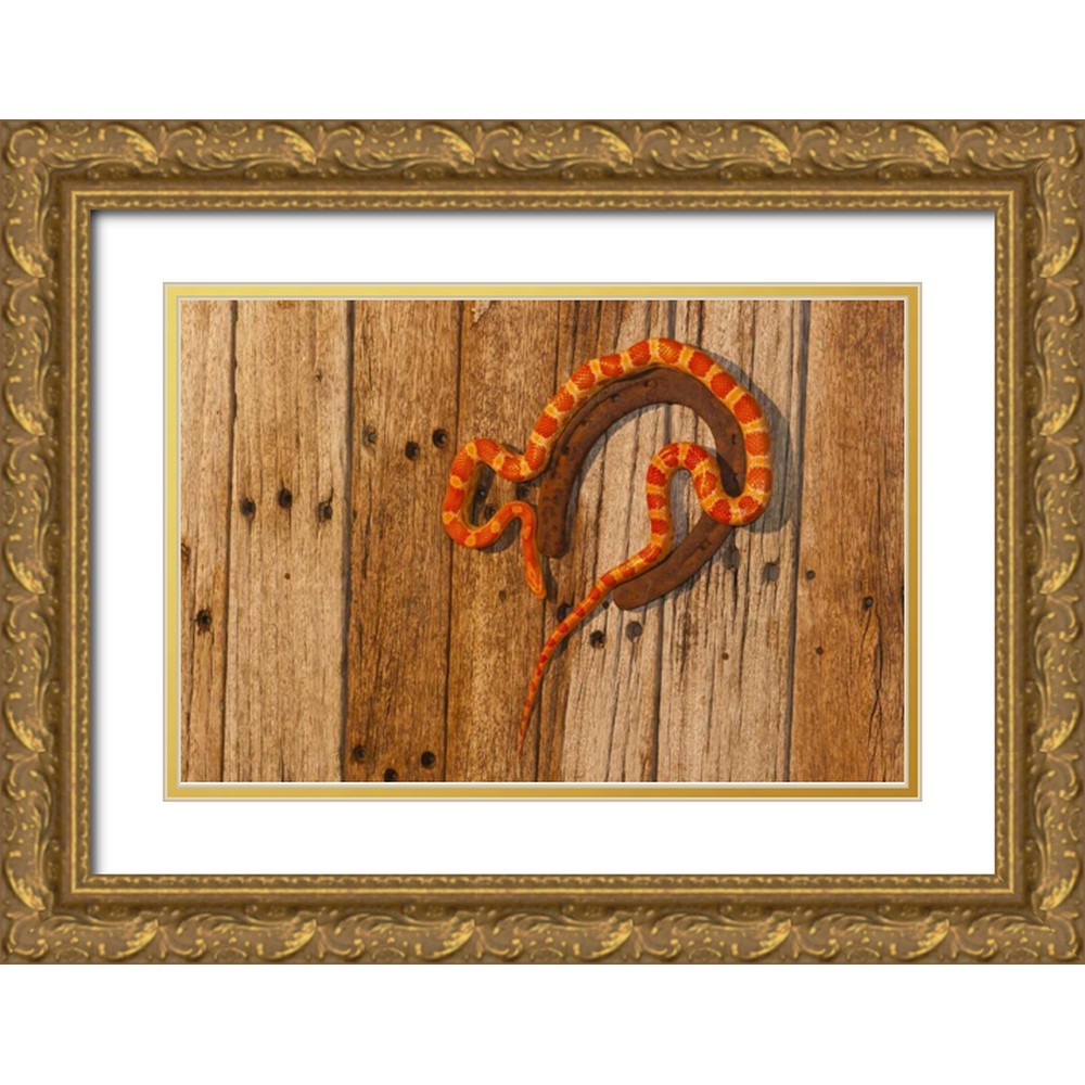 Illg, Cathy and Gordon 14x11 Gold Ornate Wood Framed with Double ...