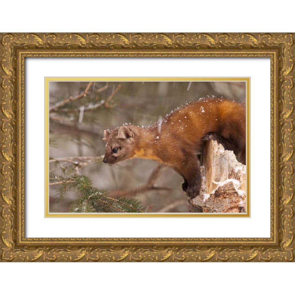 Illg, Cathy and Gordon 14x11 Gold Ornate Wood Framed with Double ...