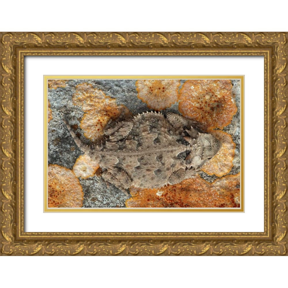Illg, Cathy and Gordon 14x11 Gold Ornate Wood Framed with Double ...