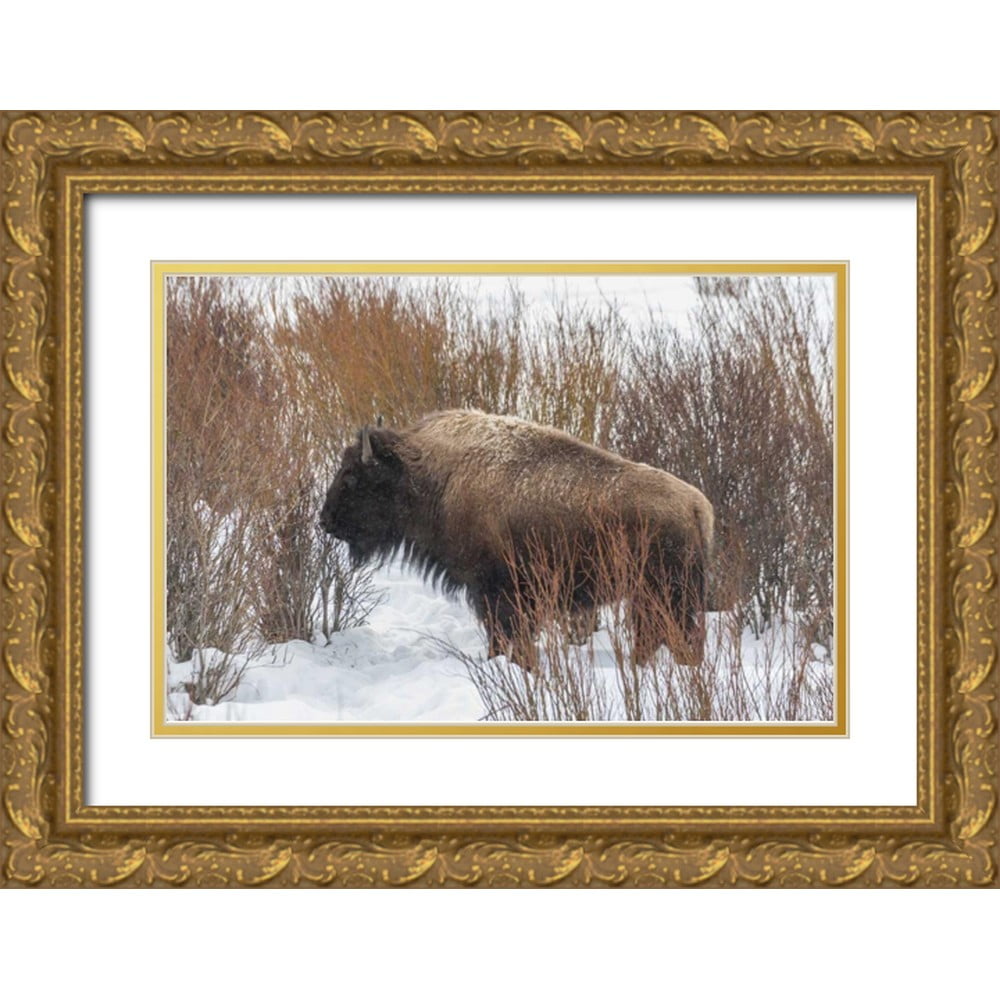 Illg, Cathy and Gordon 14x11 Gold Ornate Wood Framed with Double ...