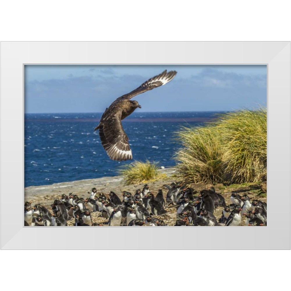 Illg, Cathy and Gordon 14x11 White Modern Wood Framed Museum Art Print ...