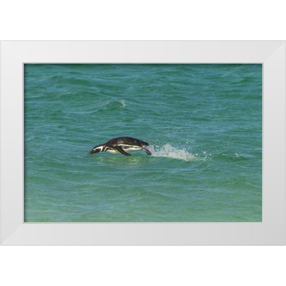 Illg, Cathy and Gordon 14x11 White Modern Wood Framed Museum Art Print Titled - Bleaker Island ...