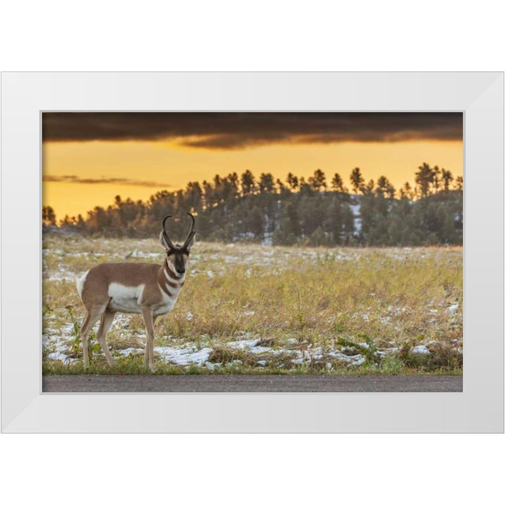 Illg, Cathy and Gordon 14x11 White Modern Wood Framed Museum Art Print ...