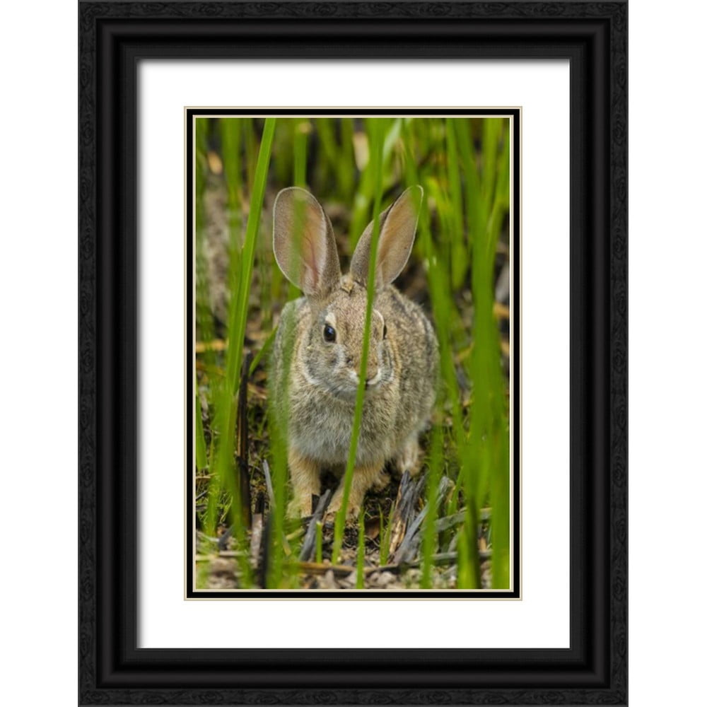 Illg, Cathy and Gordon 17x24 Black Ornate Wood Framed with Double ...