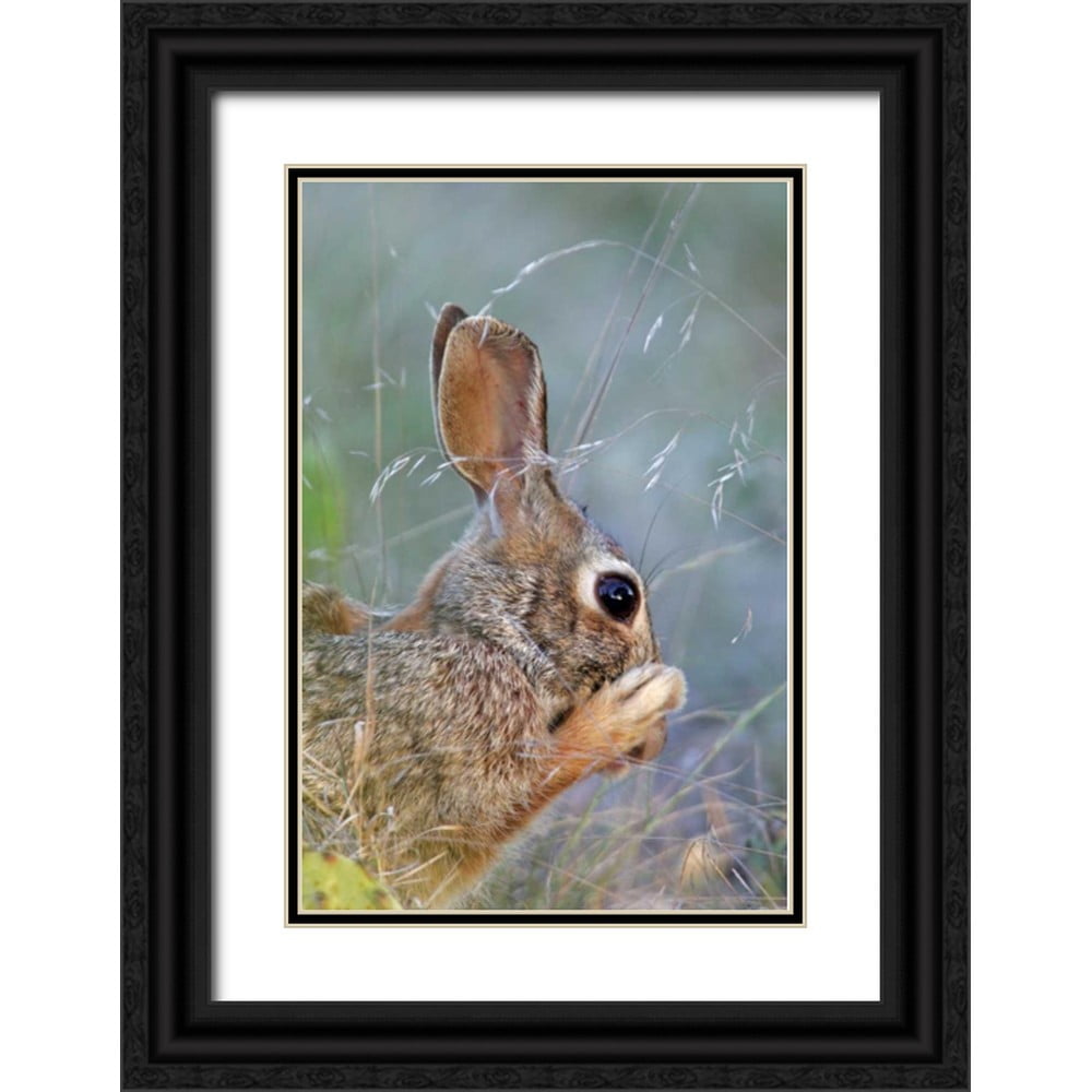 Illg, Cathy and Gordon 17x24 Black Ornate Wood Framed with Double ...