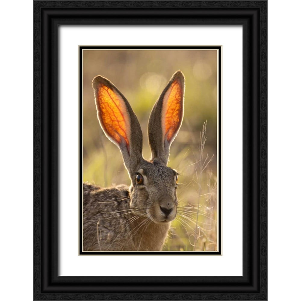 Illg, Cathy and Gordon 17x24 Black Ornate Wood Framed with Double ...