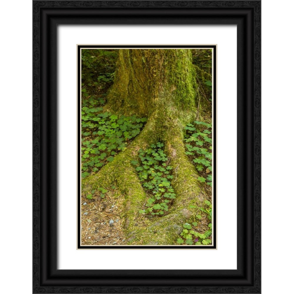 Illg, Cathy and Gordon 17x24 Black Ornate Wood Framed with Double ...