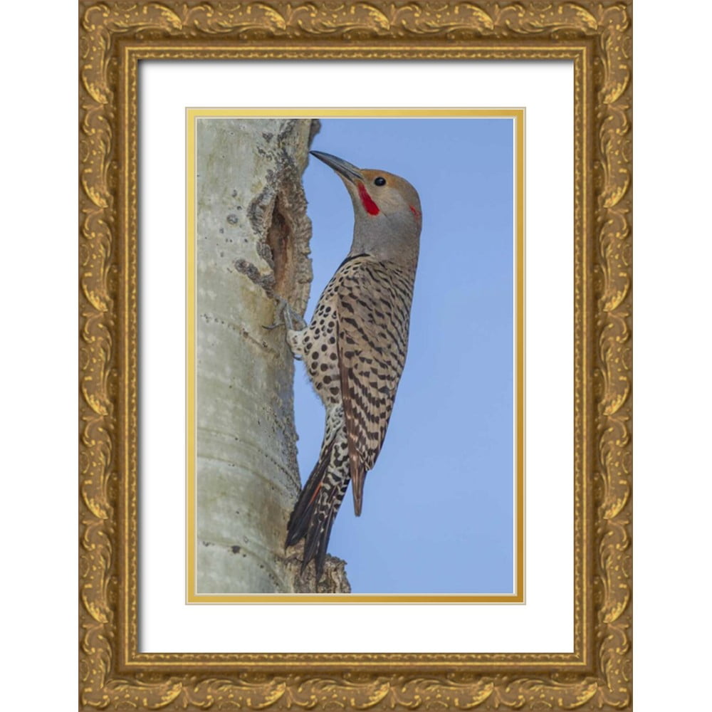 Illg, Cathy and Gordon 17x24 Gold Ornate Wood Framed with Double ...