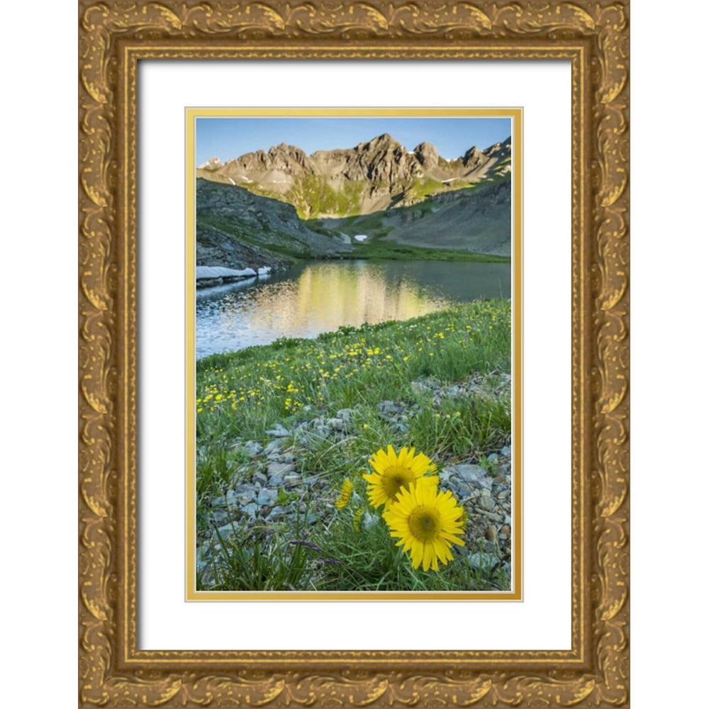 Illg, Cathy and Gordon 17x24 Gold Ornate Wood Framed with Double ...