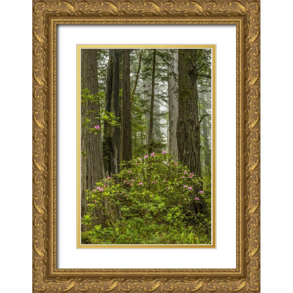 Illg, Cathy and Gordon 17x24 Gold Ornate Wood Framed with Double ...