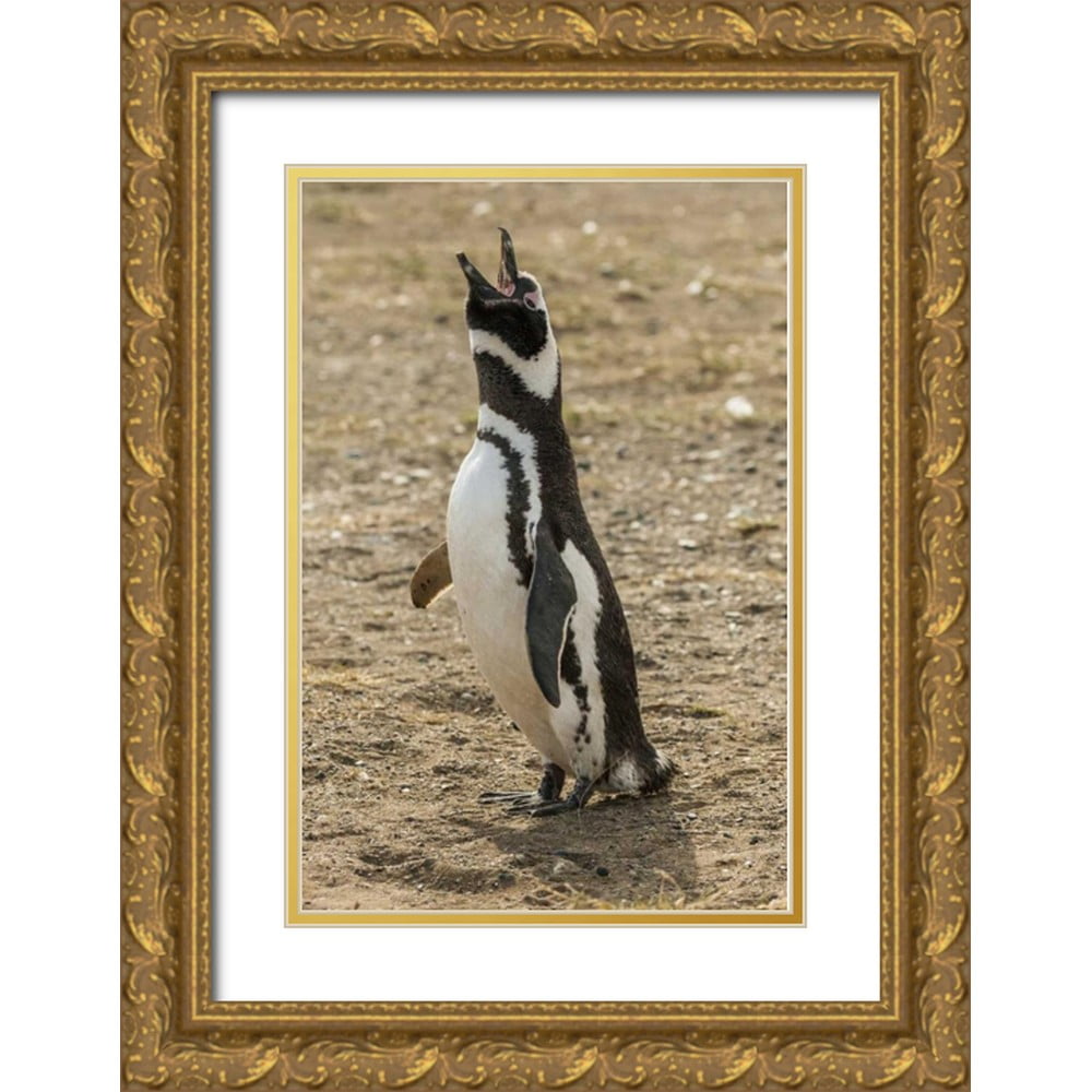 Illg, Cathy and Gordon 17x24 Gold Ornate Wood Framed with Double ...