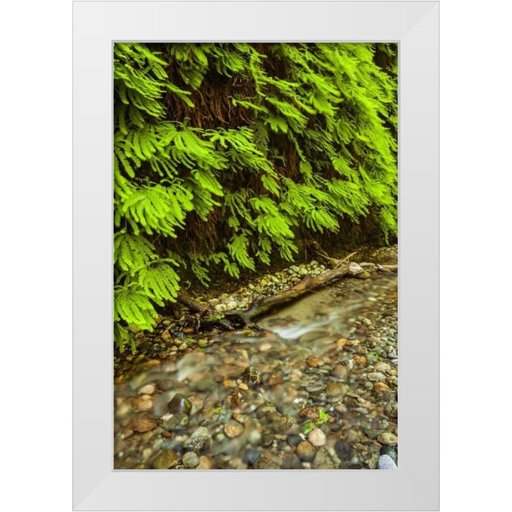 Illg, Cathy and Gordon 17x24 White Modern Wood Framed Museum Art Print ...