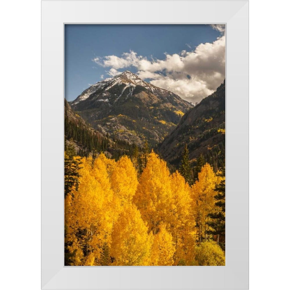 Illg, Cathy and Gordon 17x24 White Modern Wood Framed Museum Art Print ...