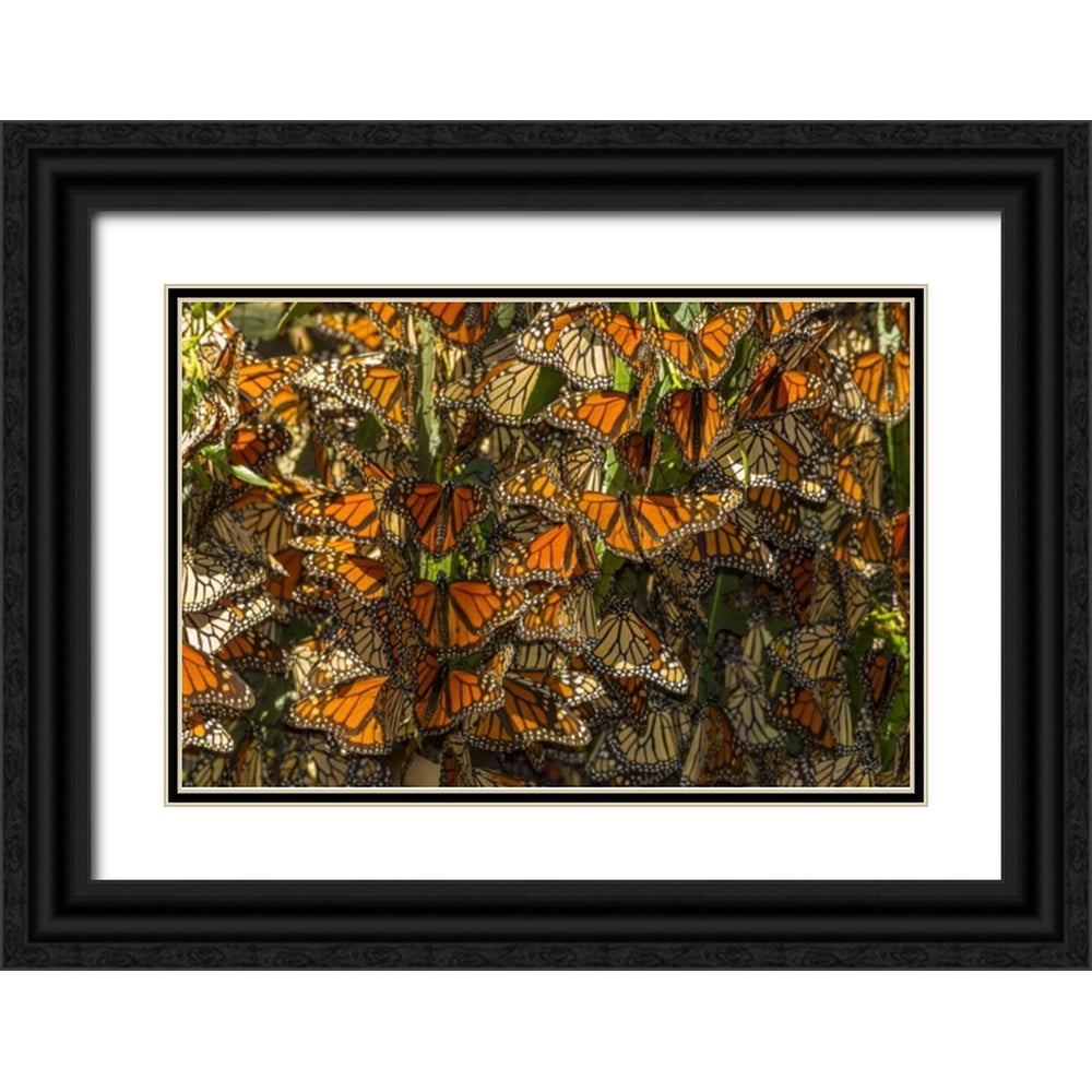 Illg, Cathy and Gordon 18x13 Black Ornate Wood Framed with Double Matting Museum Art Print ...