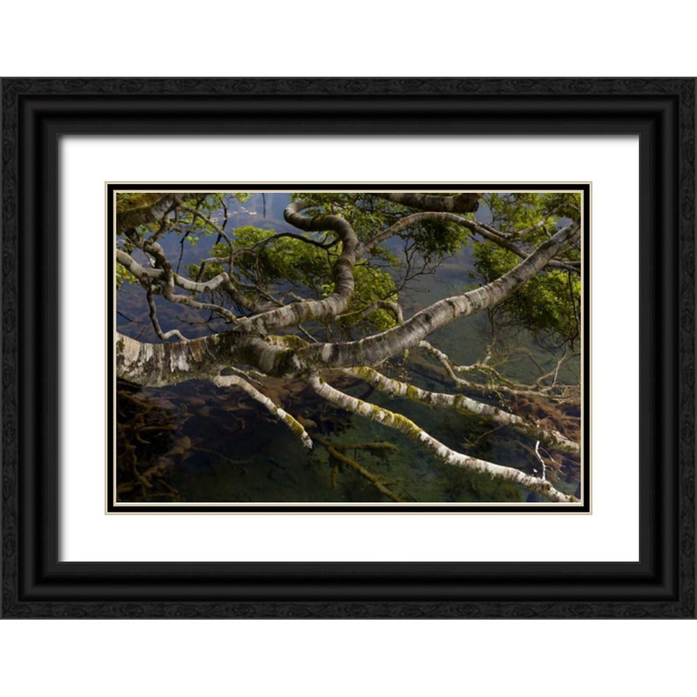 Illg, Cathy and Gordon 18x13 Black Ornate Wood Framed with Double ...