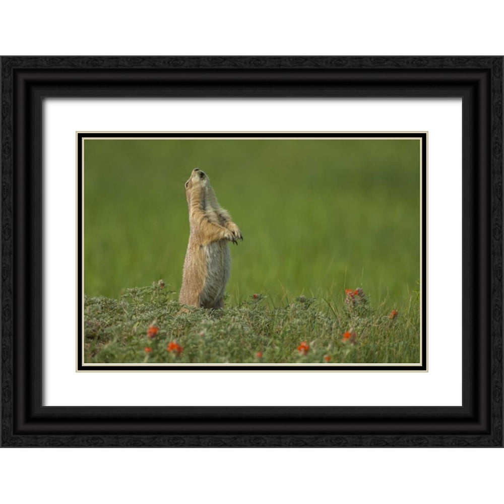 Illg, Cathy and Gordon 18x13 Black Ornate Wood Framed with Double ...