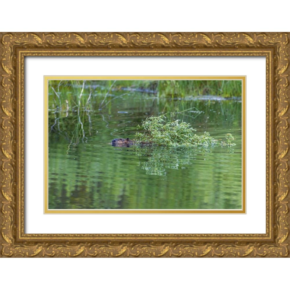 Illg, Cathy and Gordon 18x13 Gold Ornate Wood Framed with Double ...