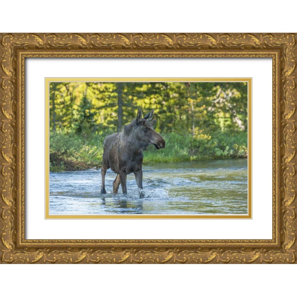 Illg, Cathy and Gordon 18x13 Gold Ornate Wood Framed with Double ...