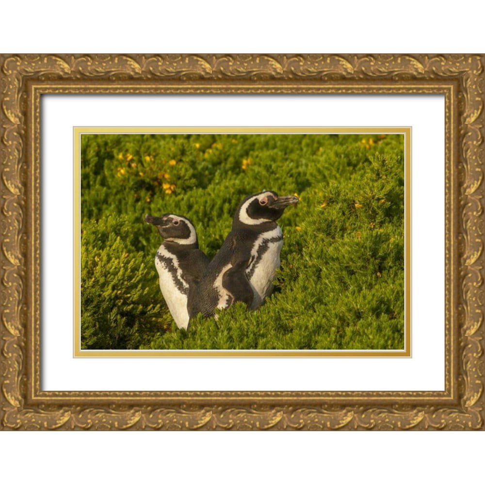 Illg, Cathy and Gordon 18x13 Gold Ornate Wood Framed with Double ...