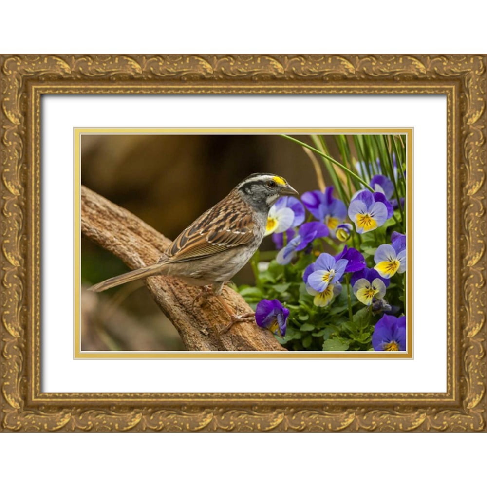 Illg, Cathy and Gordon 18x13 Gold Ornate Wood Framed with Double ...