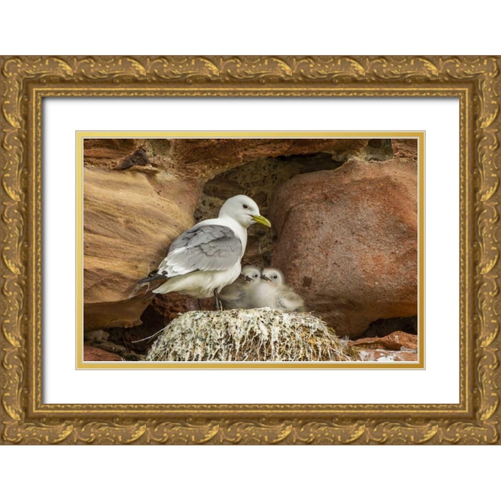 Illg, Cathy and Gordon 18x13 Gold Ornate Wood Framed with Double ...