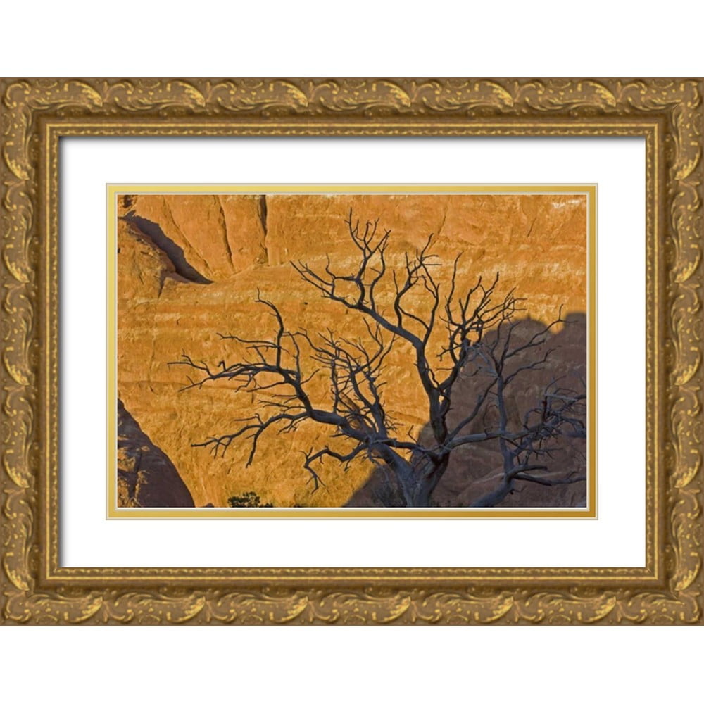 Illg, Cathy and Gordon 18x13 Gold Ornate Wood Framed with Double ...