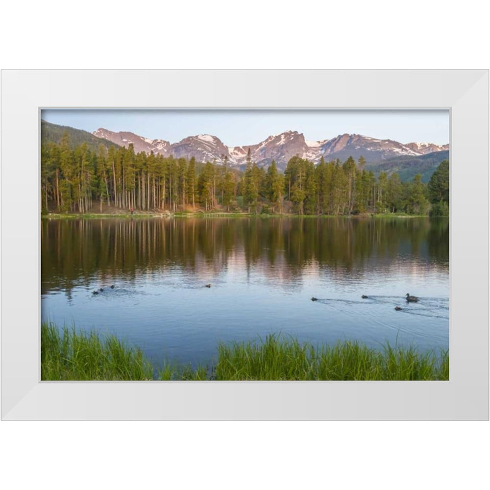 Illg, Cathy and Gordon 18x13 White Modern Wood Framed Museum Art Print ...