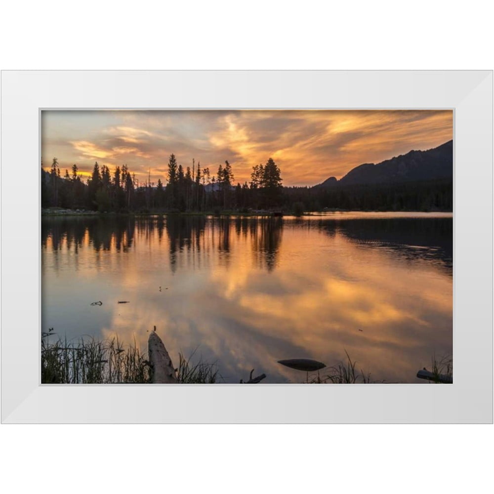 Illg, Cathy and Gordon 18x13 White Modern Wood Framed Museum Art Print ...