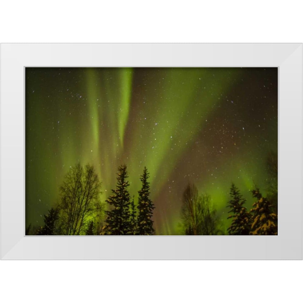 Illg, Cathy and Gordon 18x13 White Modern Wood Framed Museum Art Print Titled - USA, Alaska ...