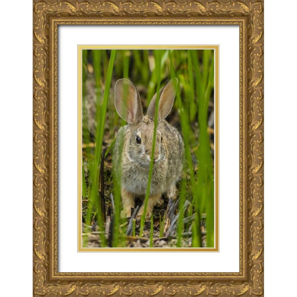 Illg, Cathy and Gordon 23x32 Gold Ornate Wood Framed with Double ...