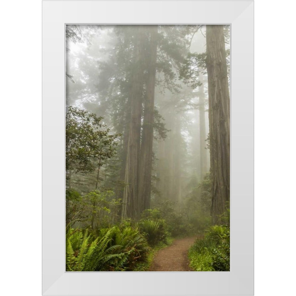 Illg, Cathy and Gordon 23x32 White Modern Wood Framed Museum Art Print ...