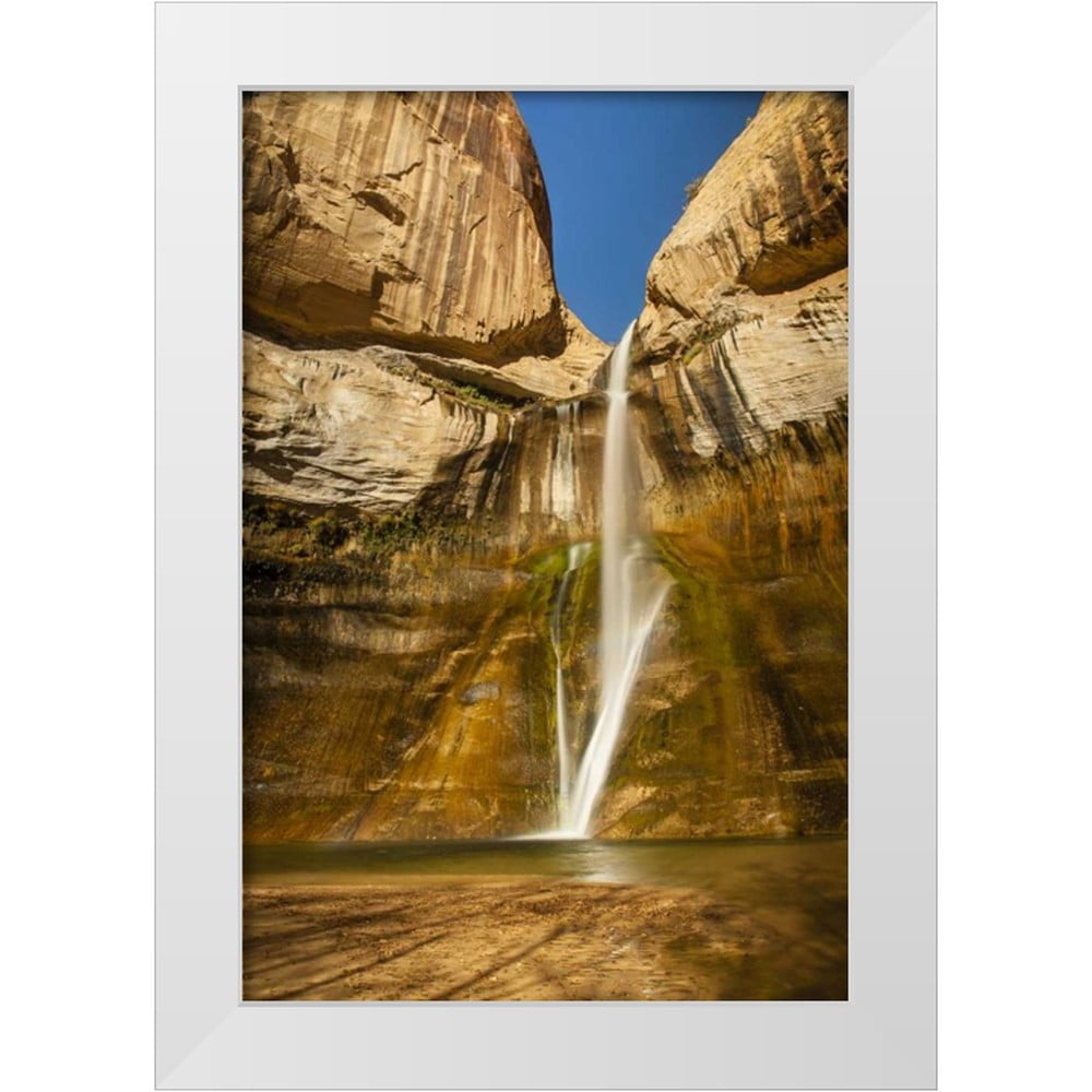 Illg, Cathy and Gordon 23x32 White Modern Wood Framed Museum Art Print ...