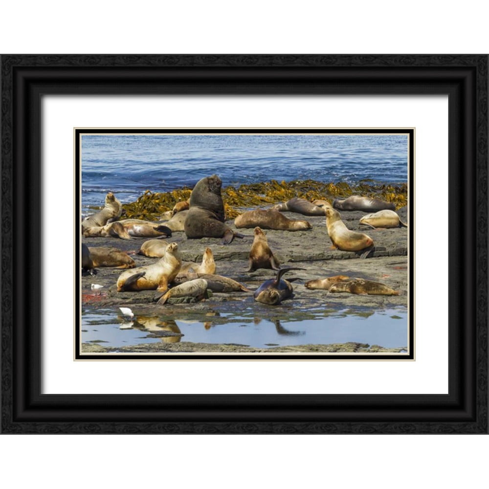 Illg, Cathy and Gordon 24x17 Black Ornate Wood Framed with Double ...