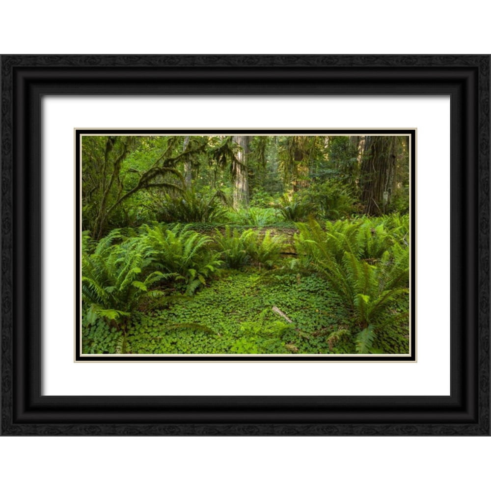 Illg, Cathy and Gordon 24x17 Black Ornate Wood Framed with Double ...