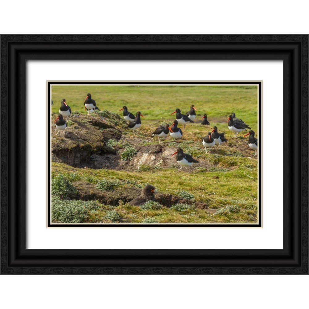Illg, Cathy and Gordon 24x17 Black Ornate Wood Framed with Double ...