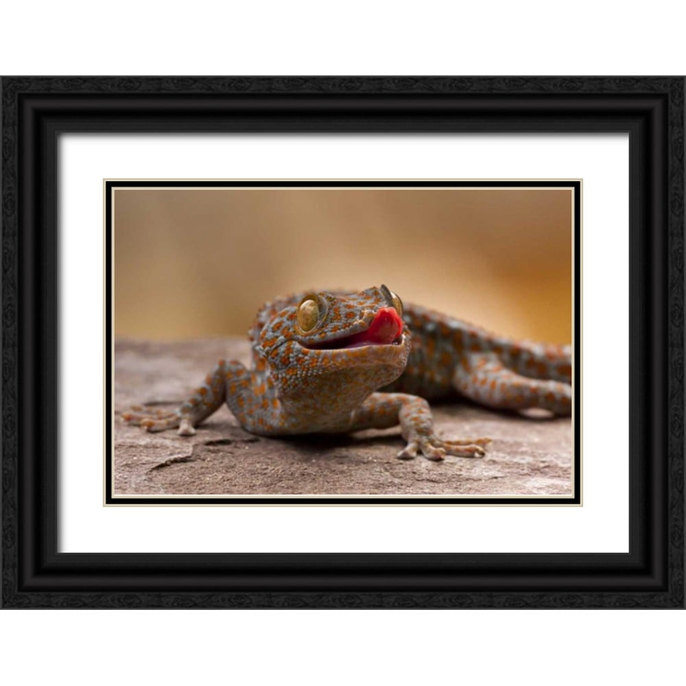 Illg, Cathy and Gordon 24x17 Black Ornate Wood Framed with Double ...