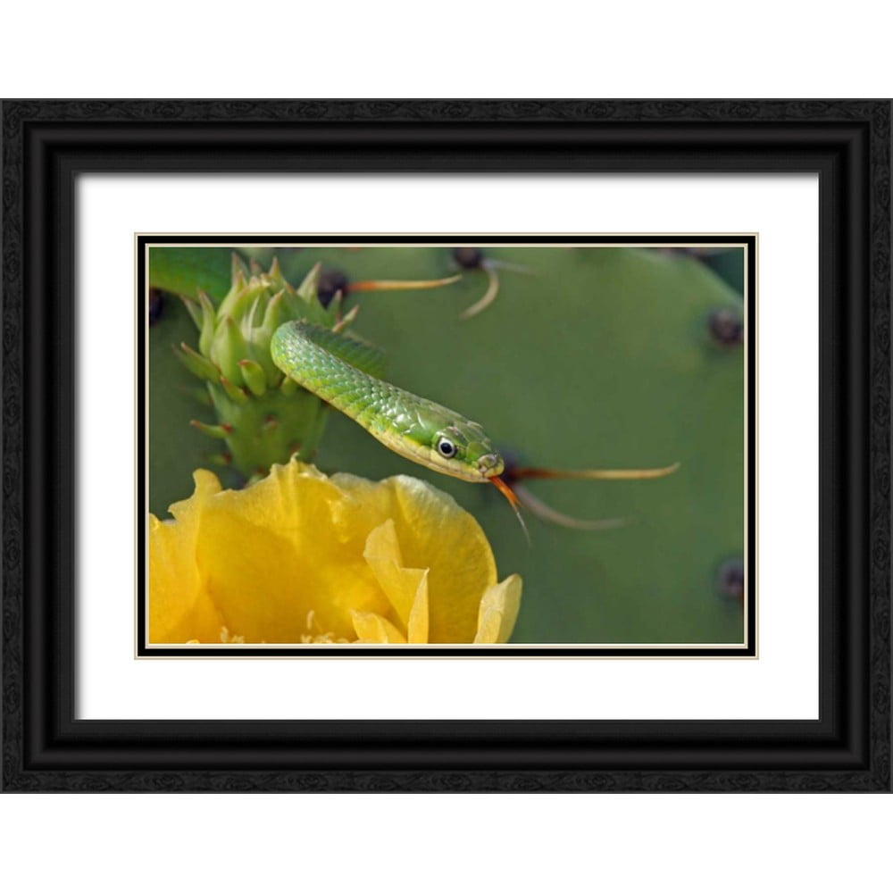 Illg, Cathy and Gordon 24x17 Black Ornate Wood Framed with Double ...