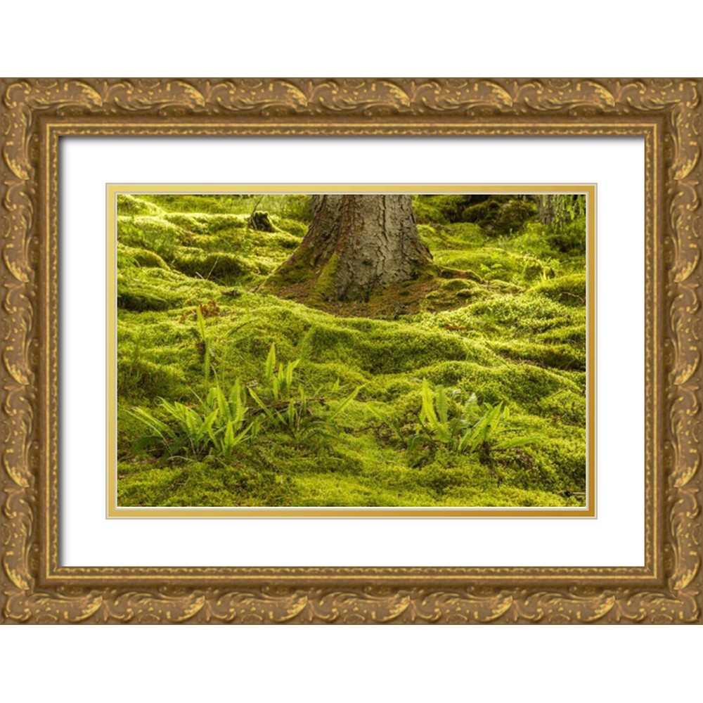 Illg, Cathy and Gordon 24x17 Gold Ornate Wood Framed with Double ...
