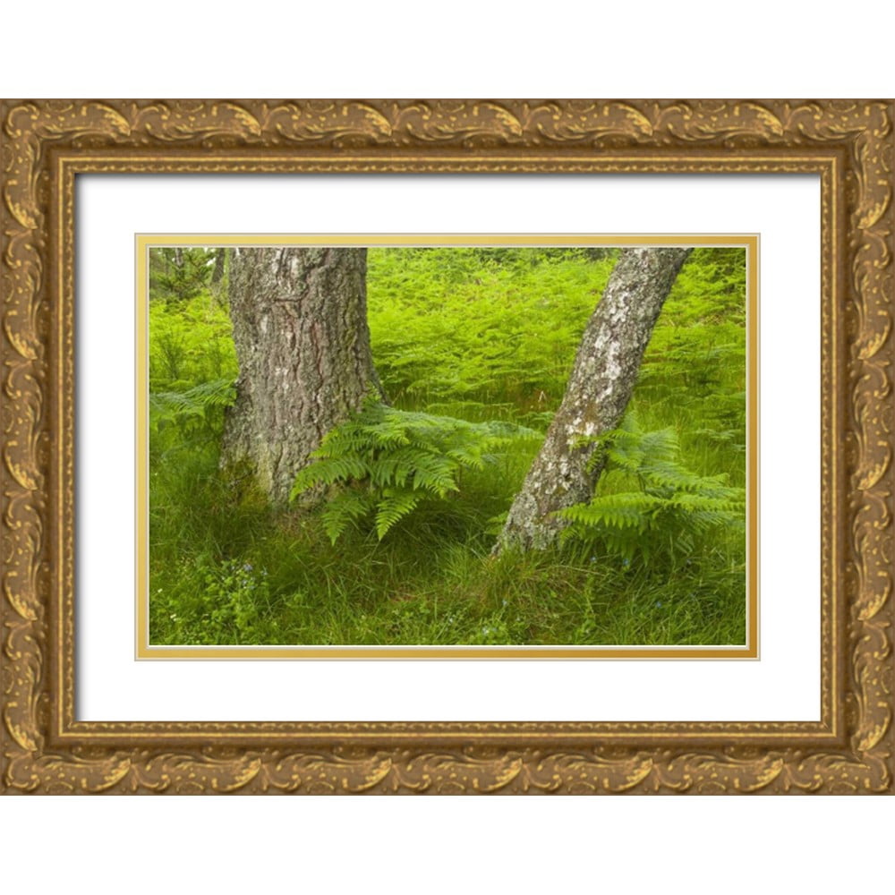 Illg, Cathy and Gordon 24x17 Gold Ornate Wood Framed with Double ...