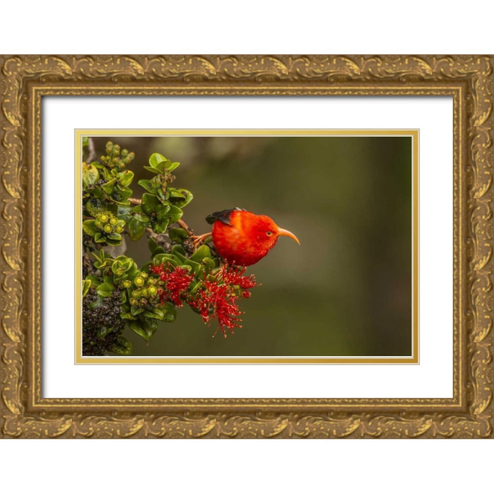 Illg, Cathy and Gordon 24x17 Gold Ornate Wood Framed with Double ...