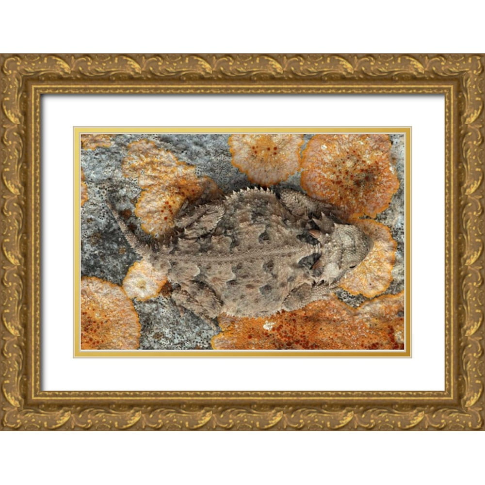 Illg, Cathy and Gordon 24x17 Gold Ornate Wood Framed with Double ...