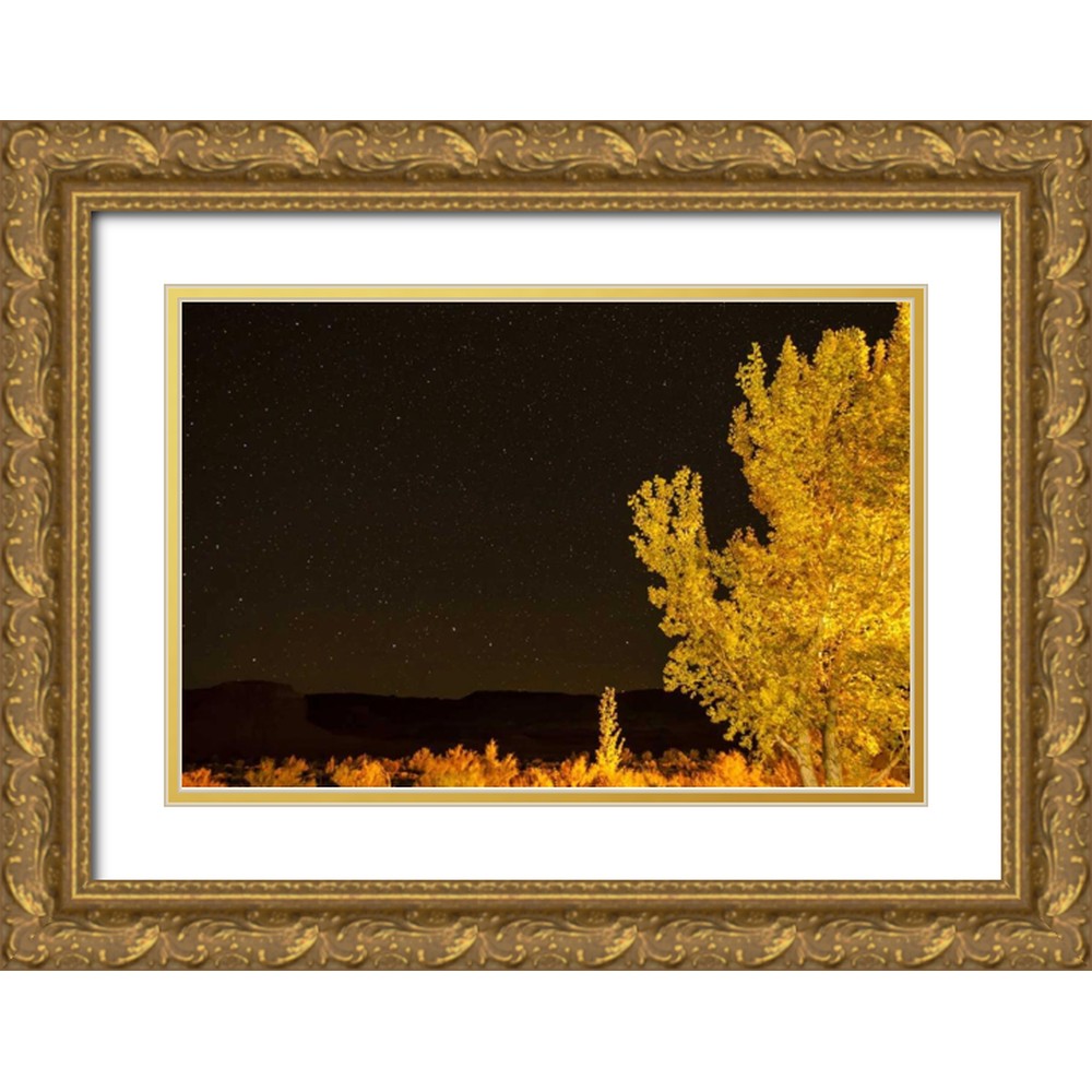 Illg, Cathy and Gordon 24x17 Gold Ornate Wood Framed with Double ...