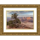 Illg, Cathy and Gordon 24x17 Gold Ornate Wood Framed with Double ...