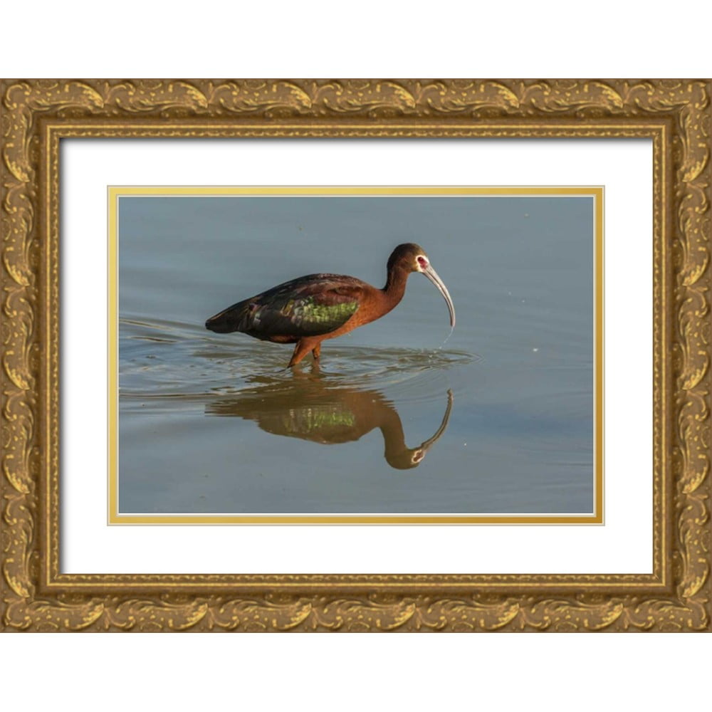 Illg, Cathy and Gordon 24x17 Gold Ornate Wood Framed with Double ...